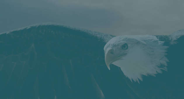 Online Reputation Management Agency Reputativ